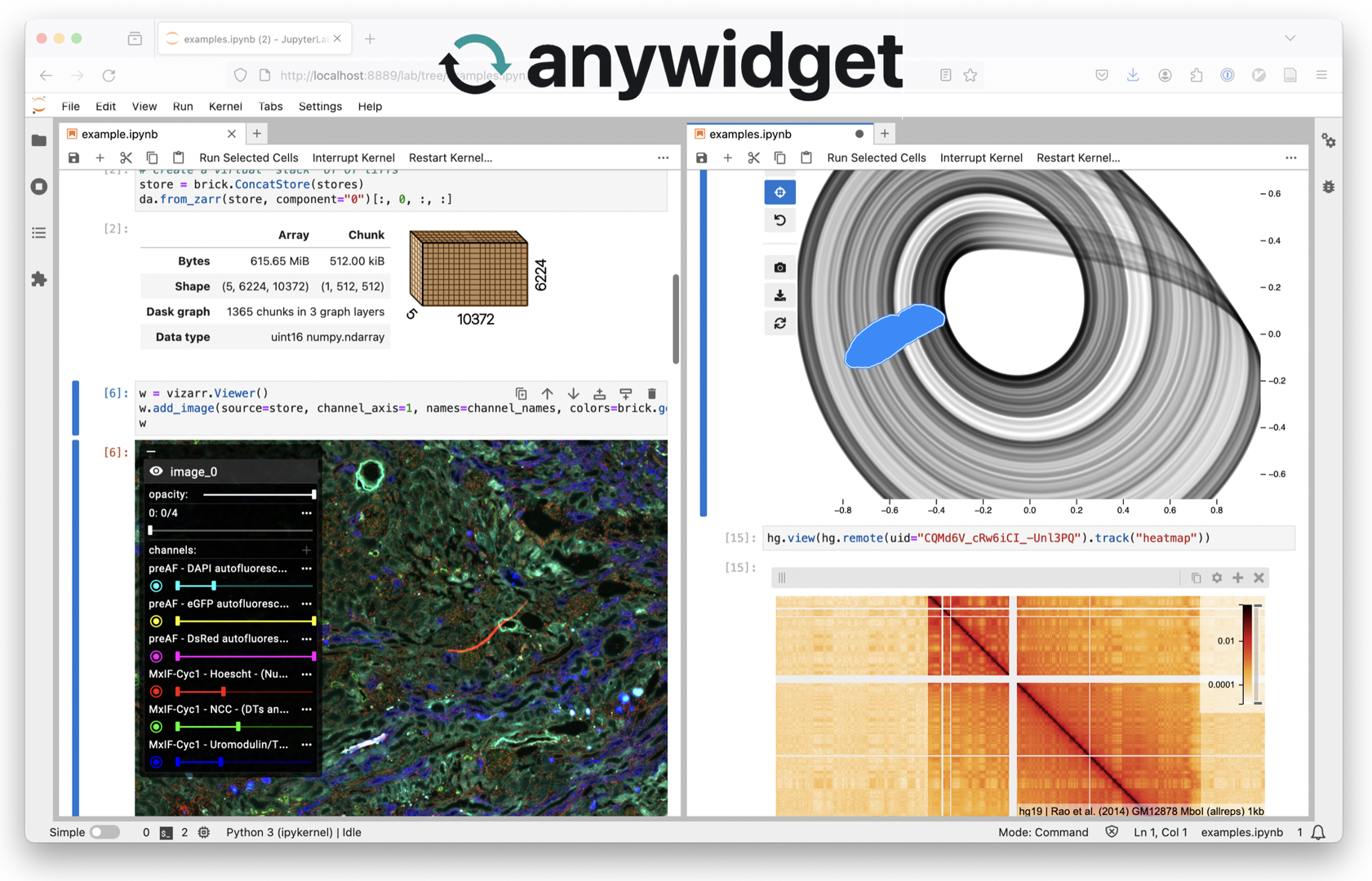 Bring your __repr__’s to life with anywidget :: SciPy 2024 :: pretalx